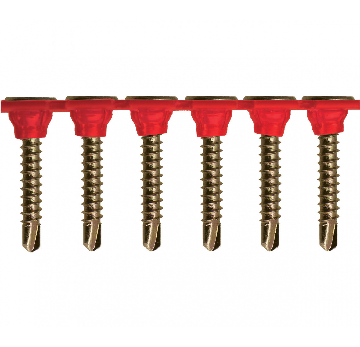 Self Drilling Bugle Head - Collated | ICCONS
